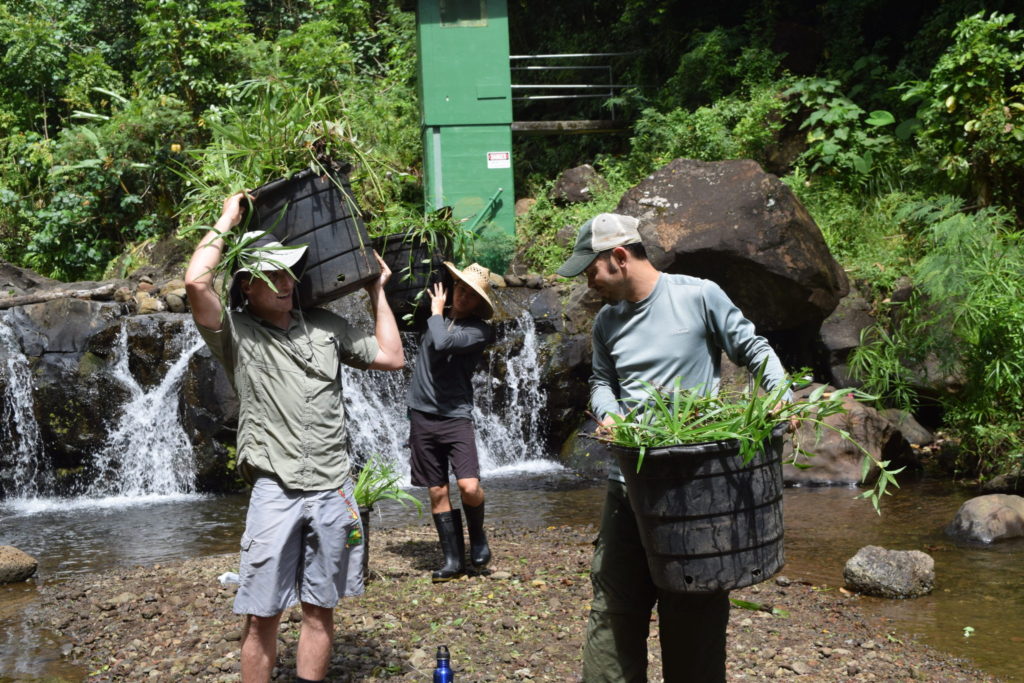 Conservation Career Compass – Hawaii Conservation Alliance