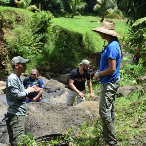 Conservation Career Compass - Hawaii Conservation Alliance